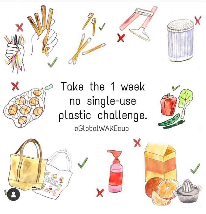1 week no single use plastic challenge! :: Grønne Hverdagstips